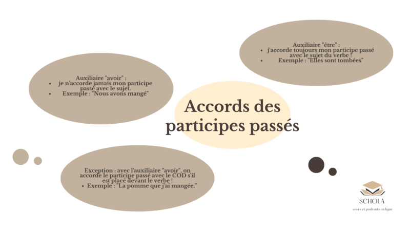 Les accords du participe passé - collège, brevet