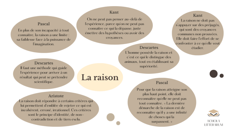 La raison : cours de philosophie terminale