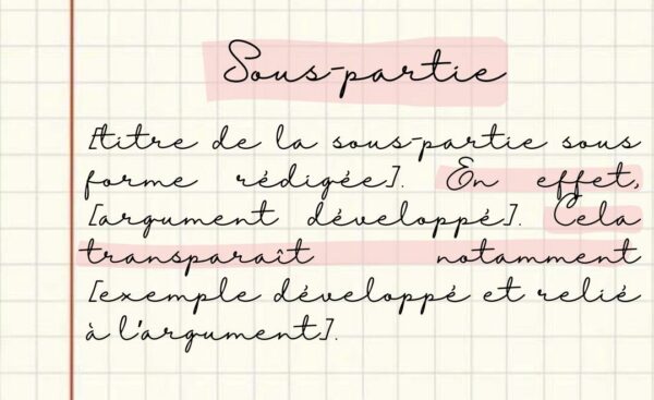 Méthodologie de l'essai - seconde et bac de français (série techno)